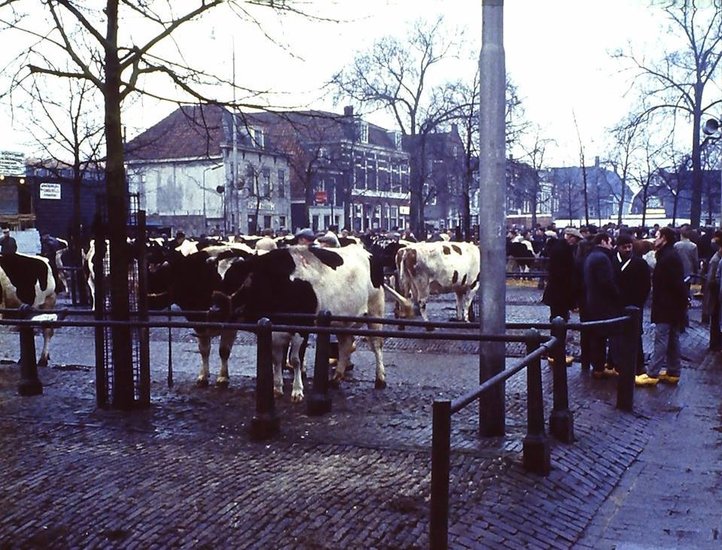 Koemarkt Purmerend (jaartal: 1970 tot 1980) - Foto's SERC